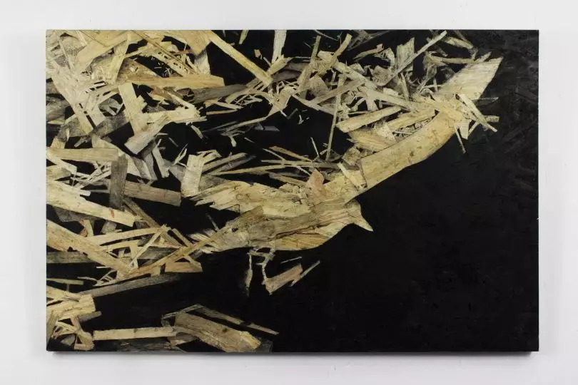कलाकार पेजॅक त्याच्या माणसाच्या विरुद्ध निसर्गाच्या शाईच्या चित्रांसाठी कॅनव्हास म्हणून दाबलेले लाकूड वापरतो 10168_2
