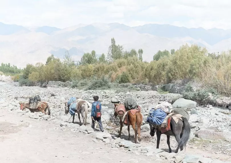 Little Tîbet ji hêla Zico O'Neill ve li bakurê Hindistanê çandek dilovan û nerm eşkere dike 10404_3