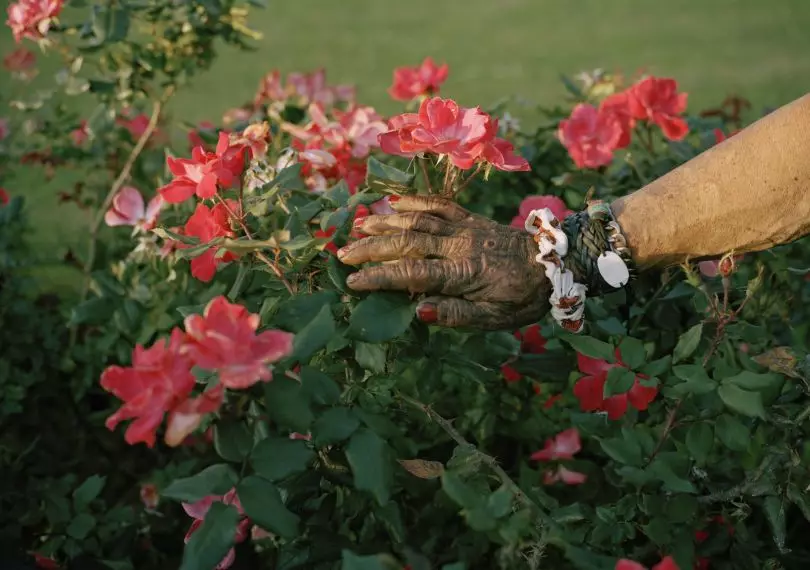 Dora e zezë e Majk në trëndafila. New Orleans, Luiziana 2018 © Thilde Jensen