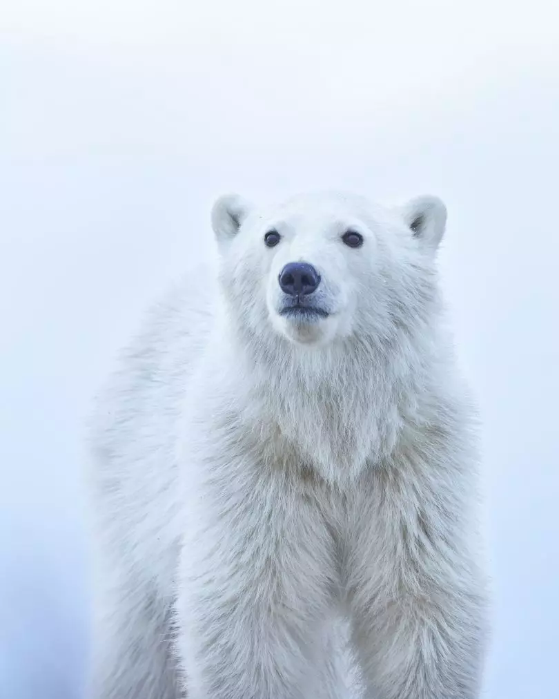 © Jenny Zhao, USA, Vinner, National Awards, Natural World & Wildlife, 2022 Sony World Photography Awards