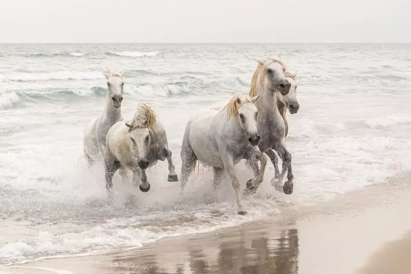 © Matjaž Šimic, Slovenia, Vinner, National Awards, Natural World & Wildlife, 2022 Sony World Photography Awards