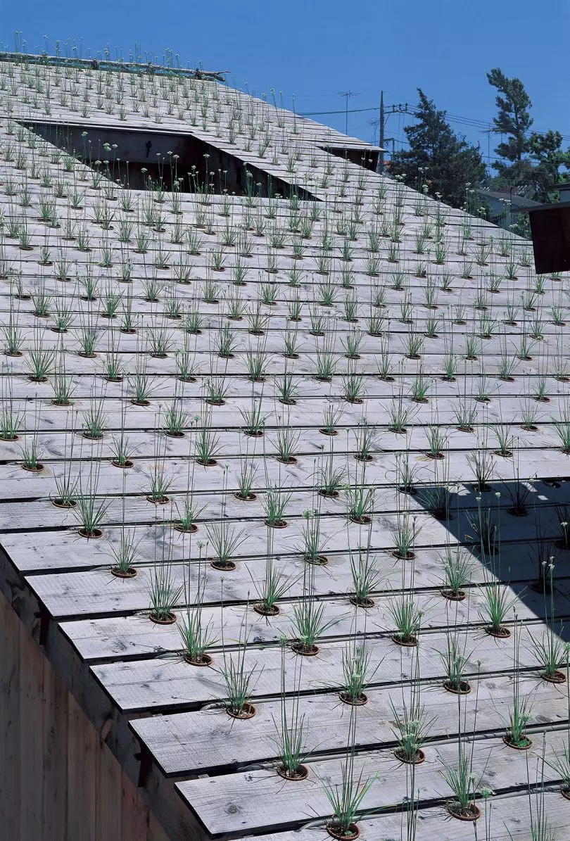 Terunobu Fujimori Leek House, 1997 Photo by Akihisa Masuda