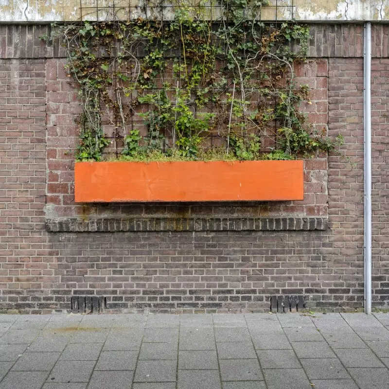 Les photos murales abstraites de Maarten Vromans capturent l'impact des gens et de la nature sur les environnements urbains