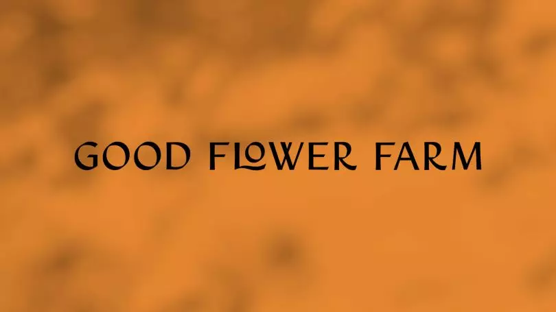 Студыя Buddy-Buddy з Мінеапаліса стварае арганічную ідэнтычнасць для Good Flower Farm 1276_3