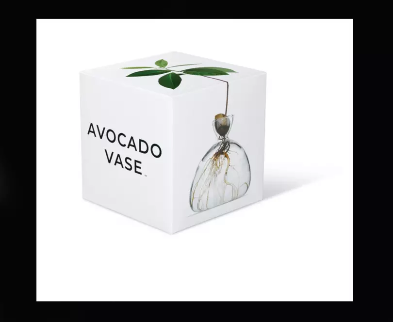 Are you a millennial who'll never buy a flat? Don't worry, at least you can have an avo vase  1307_2