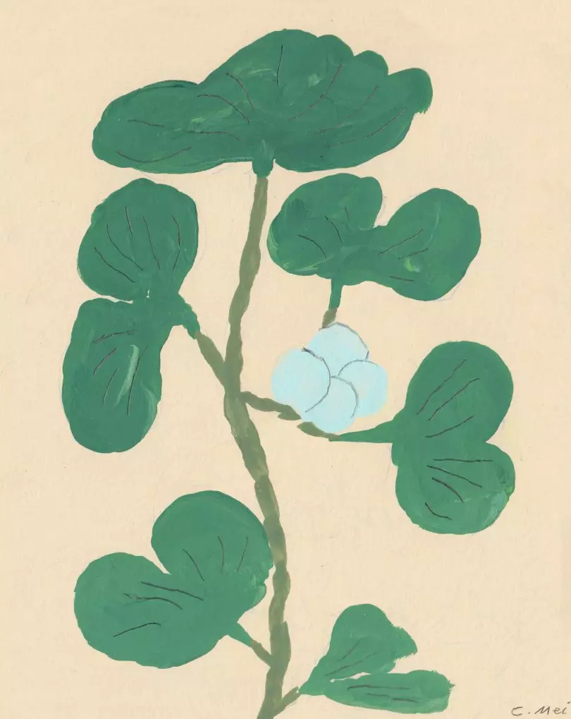 Charlotte Mei, Ginkgo