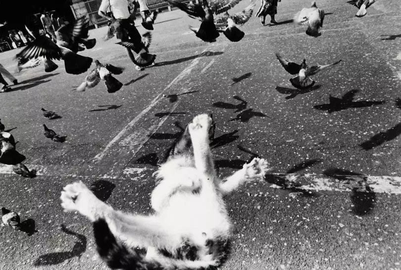 © Masahisa Fukase