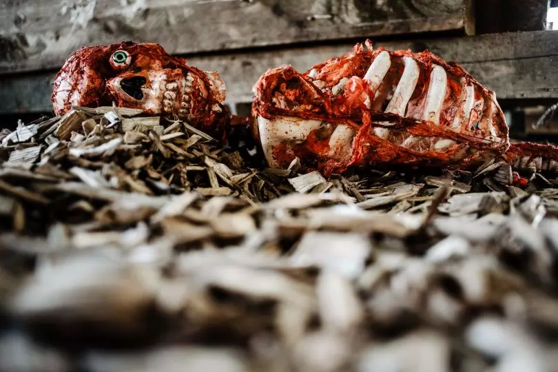 Скелет на зомби © Zomblogalypse. Фотография от Esme Mai
