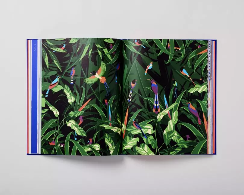 La nova i ampliada monografia de Malika Favre és una meravella minimalista 173_6