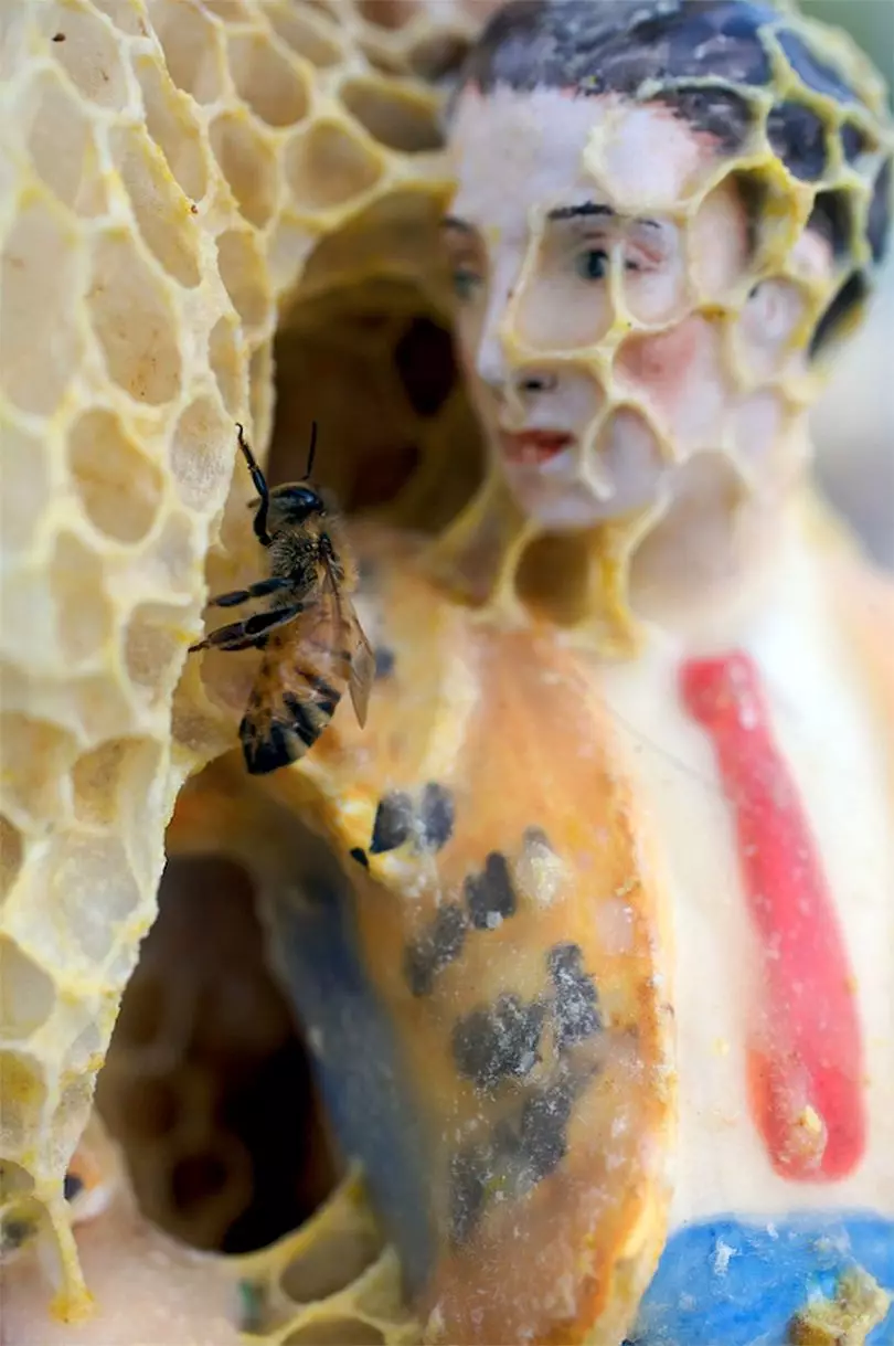 Бал под маскама: Уметник сарађује са пчелама како би поправио предмете и направио скулптуре у саћу 1746_2