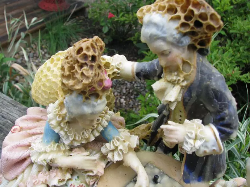 Бал под маскама: Уметник сарађује са пчелама како би поправио предмете и направио скулптуре у саћу 1746_7