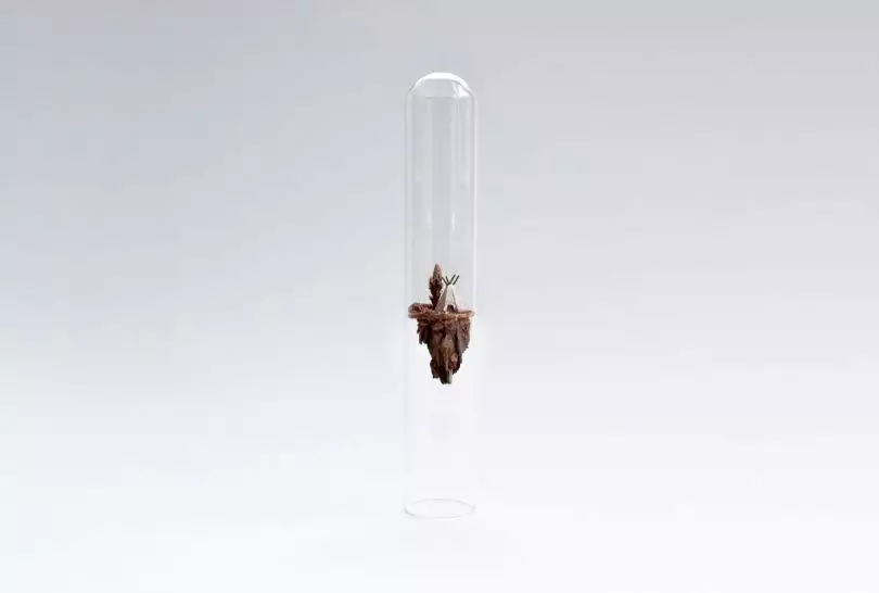 Micro Matter: Intricate vertical worlds crafted inside narrow test tubes by Rosa de Jong 1900_2