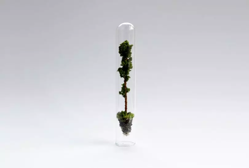 Micro Matter: Intricate vertical worlds crafted inside narrow test tubes by Rosa de Jong 1900_3