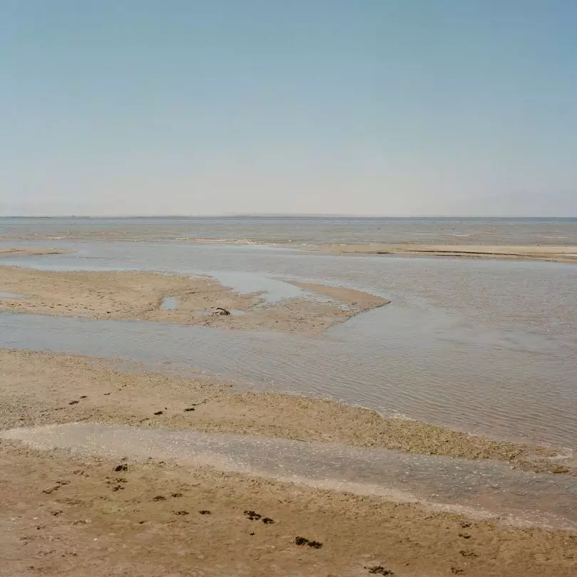 New River kommer in i Salton Sea © Debbie Bentley