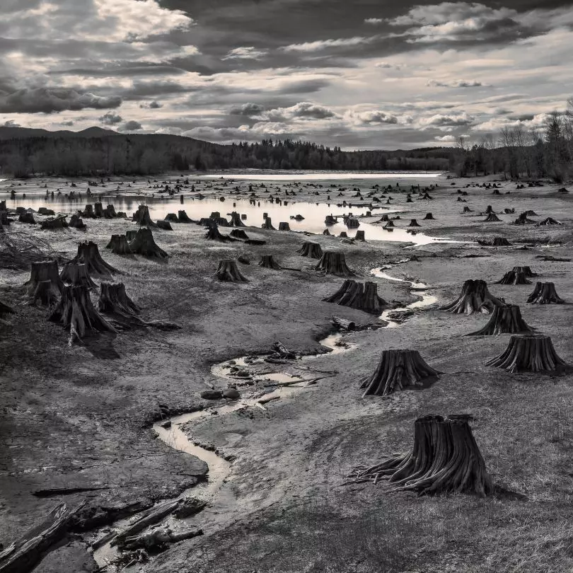 Stumps, Alder Lake, Nisqually River, Oregon © Hal Gage, United States of America, Nzvimbo Yokutanga, Yakavhurika, Nzvimbo (Makwikwi Akavhurika), 2019 Sony World Photography Awards