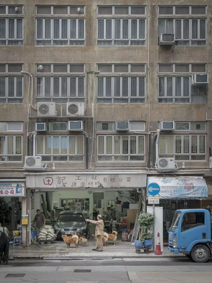 Hugljúfar ljósmyndir Marcel Heijnen af „bílskúrshundum“ Hong Kong 2602_10