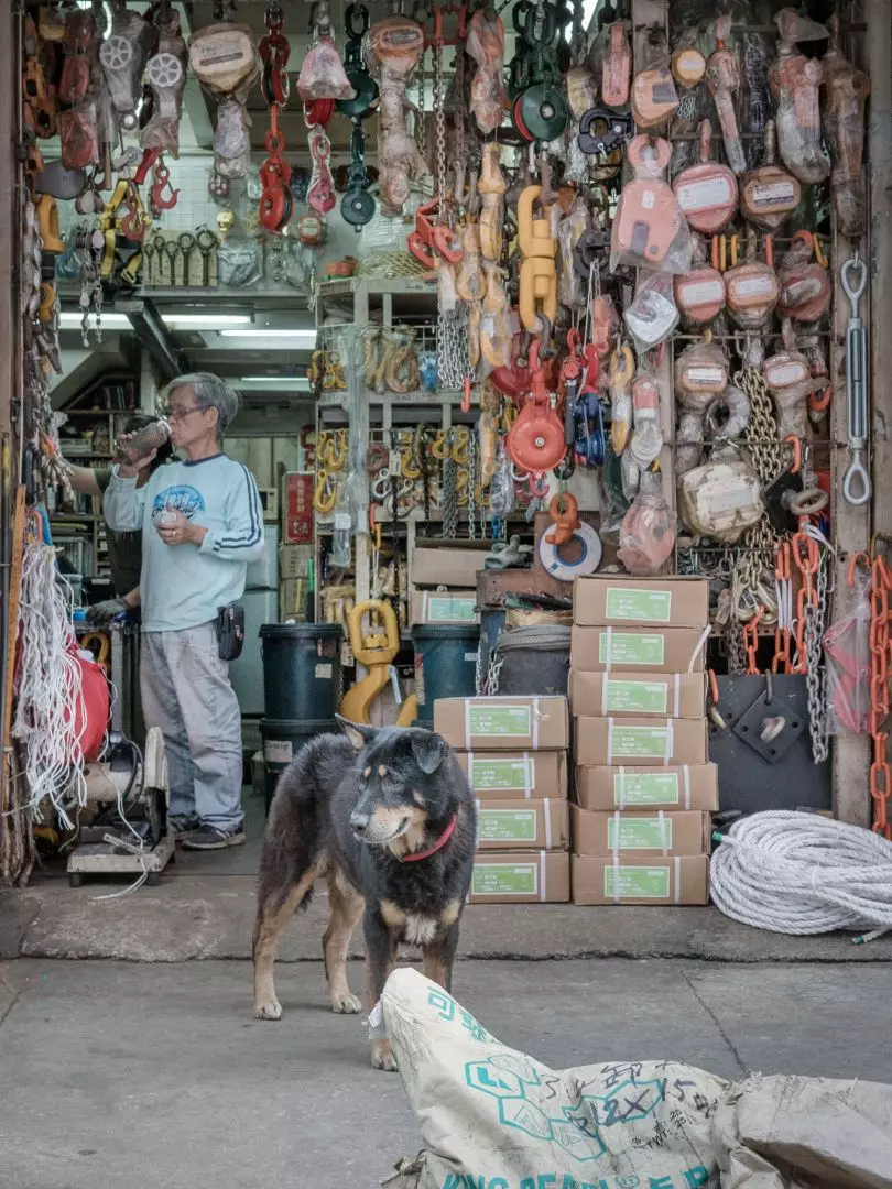 Picha za kufurahisha za Marcel Heijnen za 'Mbwa wa Garage' wa Hong Kong 2602_16