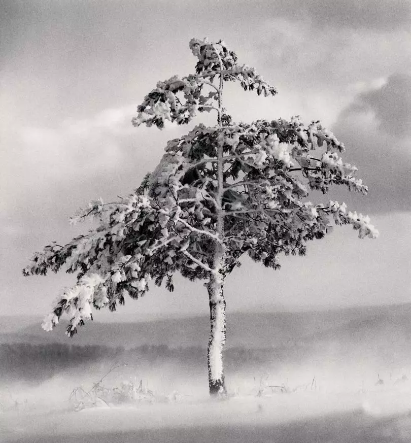 Philosopher's Tree oleh Michael Kenna ialah perjalanan rohani dalam kesedaran 2731_11