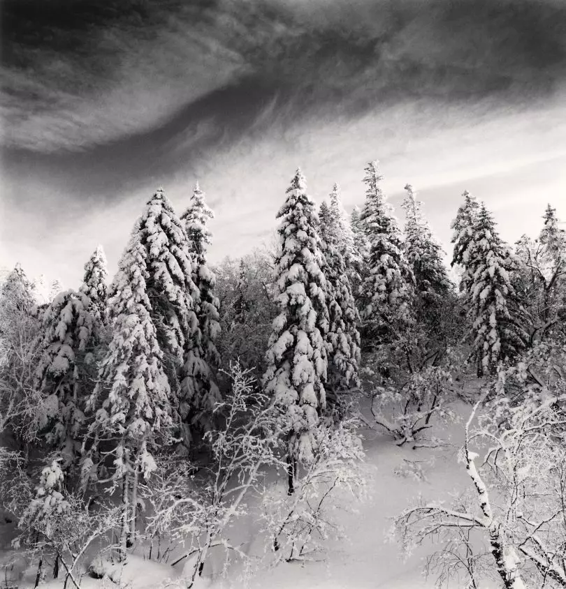 Philosopher's Tree pa Michael Kenna se yon vwayaj espirityèl nan atensyon 2731_14