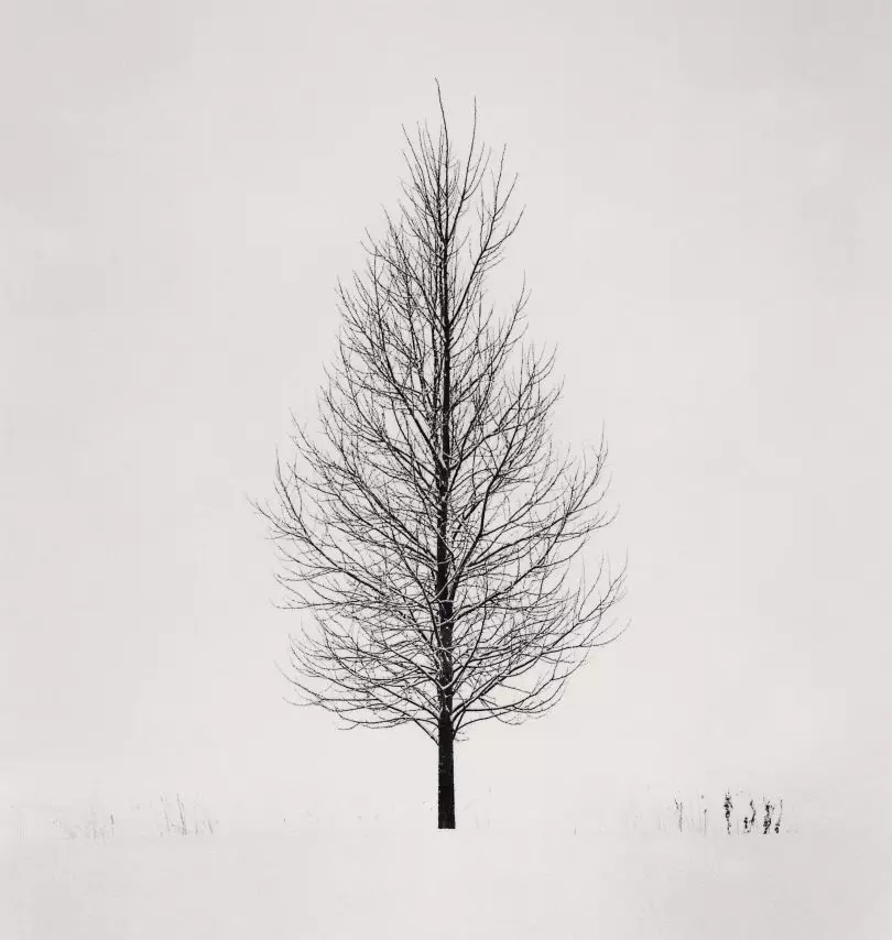 Philosopher's Tree pa Michael Kenna se yon vwayaj espirityèl nan atensyon 2731_15