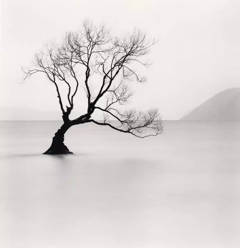 Philosopher's Tree pa Michael Kenna se yon vwayaj espirityèl nan atensyon 2731_17