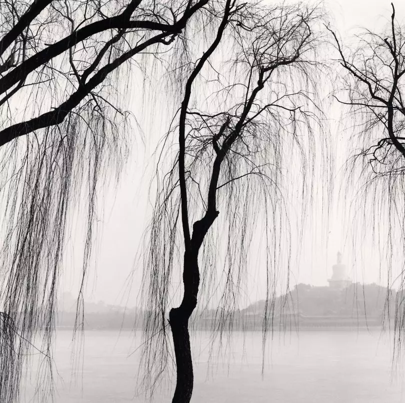 Philosopher's Tree oleh Michael Kenna ialah perjalanan rohani dalam kesedaran 2731_18