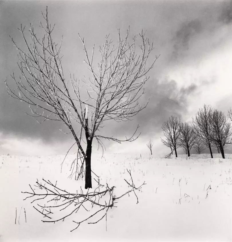 Philosopher's Tree oleh Michael Kenna ialah perjalanan rohani dalam kesedaran 2731_3