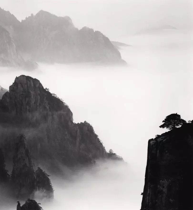 Philosopher's Tree pa Michael Kenna se yon vwayaj espirityèl nan atensyon 2731_6