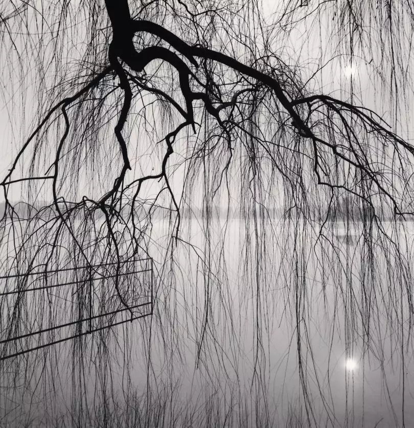 Philosopher's Tree oleh Michael Kenna ialah perjalanan rohani dalam kesedaran 2731_8