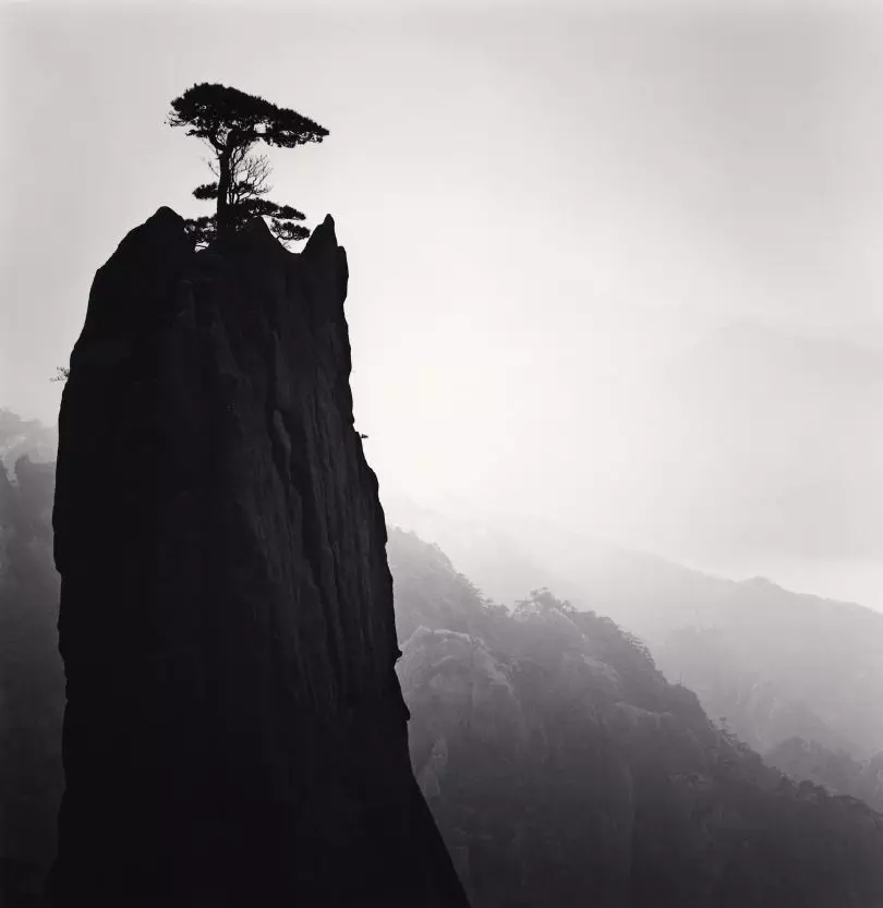 Philosopher's Tree pa Michael Kenna se yon vwayaj espirityèl nan atensyon 2731_9