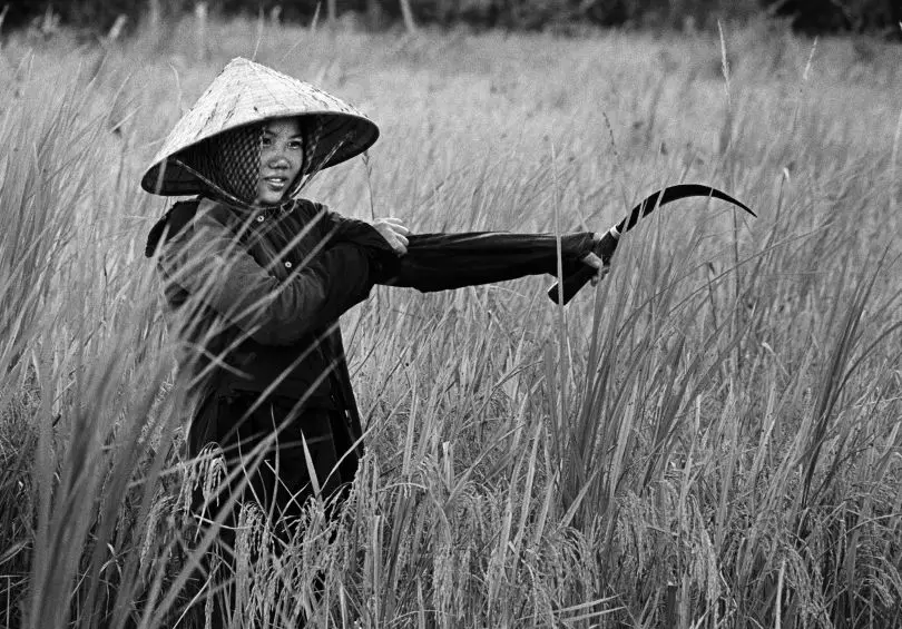 Südvietnam, 1970 © Philip Jones Griffiths / Magnum Photos