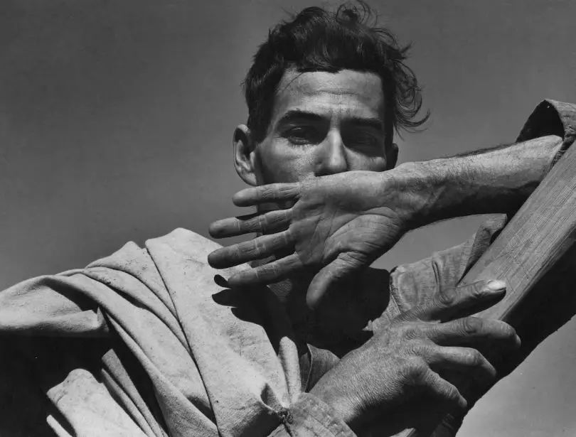 Koçber Cotton Picker, Eloy, Arizona, 1934 © Dorothea Lange bi xêrhatina Huxley- Parlor Gallery