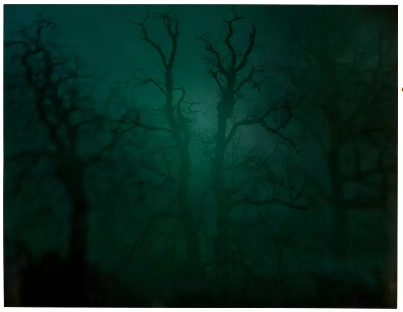 अंधेरे में दृश्यमान (श्लोक I) #14 (2007) © निकोलस ह्यूजेस