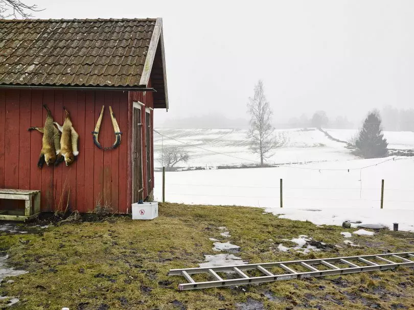 Od, Västergötland, 2011 © Jan Töve