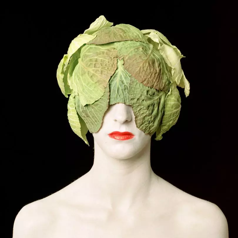 Patty Carroll, Cabbagehead