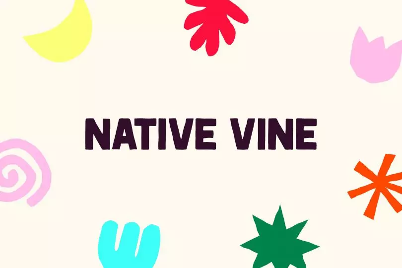 Новиот идентитет на Fiasco за Native Vine ги доловува боите, вкусовите и несовршеностите на органското вино 319_2