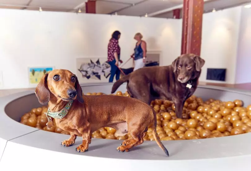 Mainkan Lebih Banyak: Pameran seni anjing pertama di dunia atas izin Dominic Wilcox 3237_2