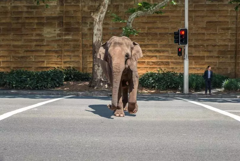 Gambar yang sengaja dibuat konyol dan surealis oleh fotografer konseptual James Popsys 3329_5