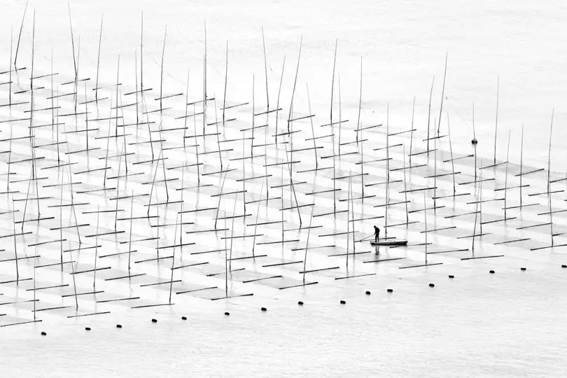 海の養殖-TugoCheng：漁師が、中国南部の沖合で養殖用に建設された竹の竿の間に海を養殖しています。 （オープントラベル）