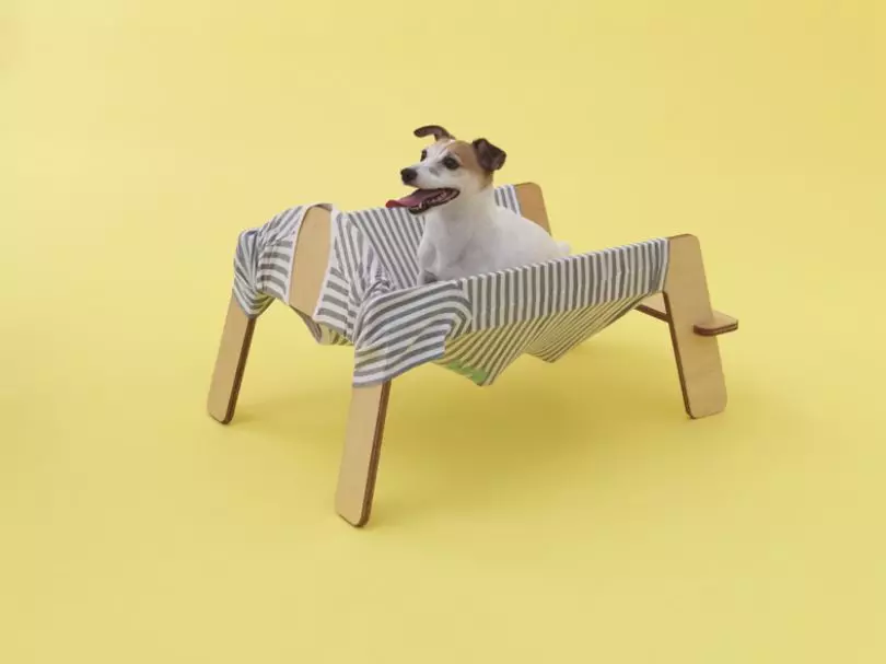 Wanmock by Torafu Abubatsi ba Jack Russell Terrier. Ifoto: Hiroshi Yoda.