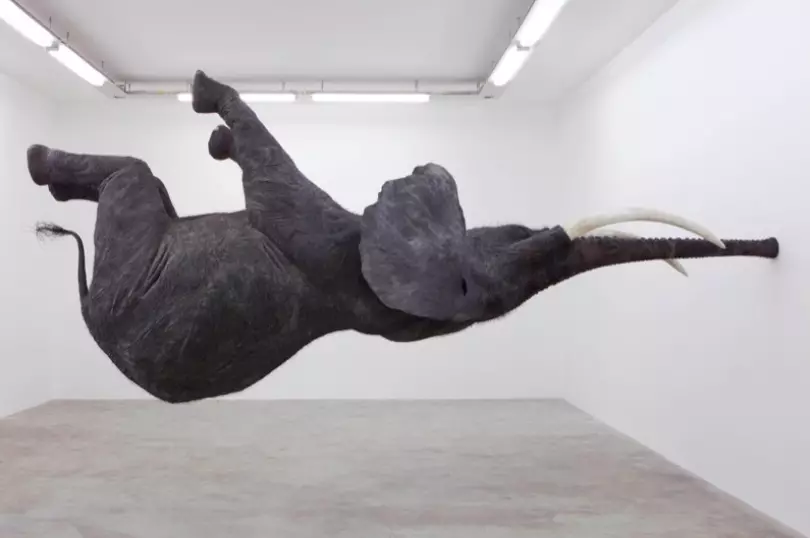 Skulptura slona v naravni velikosti, ki visi na glavo s stropa galerije 3560_2