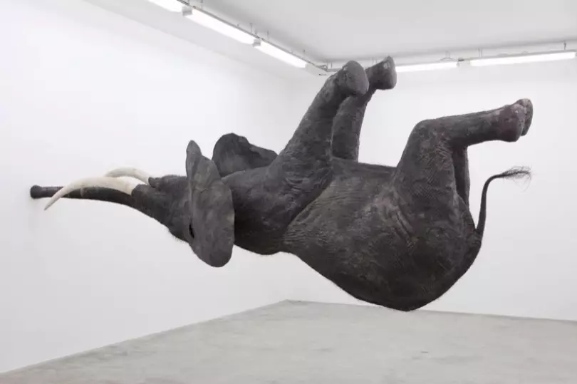 Skulpturë elefanti me përmasa reale që varet me kokë poshtë nga tavani i një galerie 3560_4