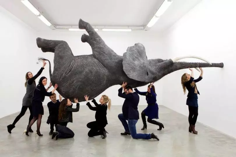 Скулптура слона у природној величини која виси наопачке са плафона галерије 3560_6