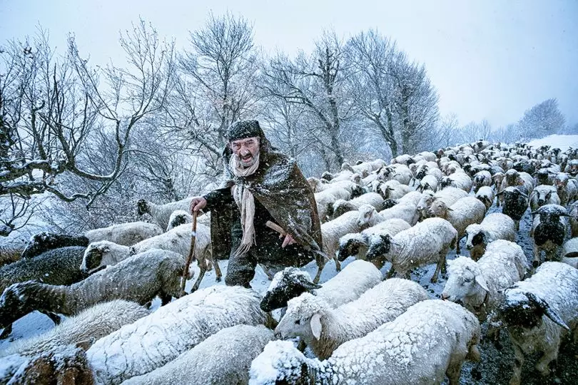 Old Shepherd ni Saeed Barikani, Iran, Shortlist, Smile, Open, 2015 Sony World Photography Awards