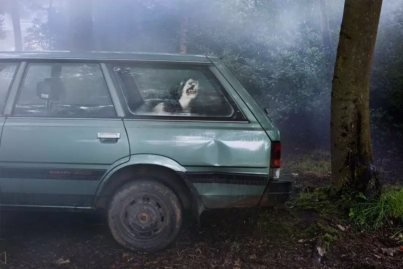 As fotografias de Martin Usborne que capturam o silêncio e a tristeza dos cães nos carros 3829_14