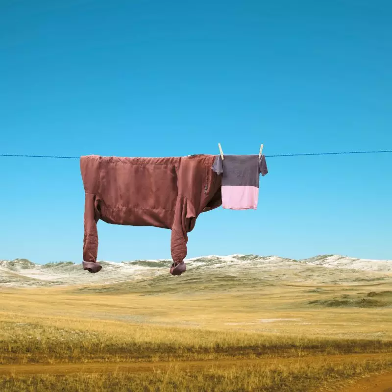Снимки на Хелга Стенцел на дрехи на линия за пране, превърнати в очарователни животни