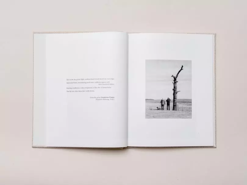 Buku foto Dan Wilton Crane nyedhiyakake tampilan sidelong ing pengamat manuk Swedia 4244_5