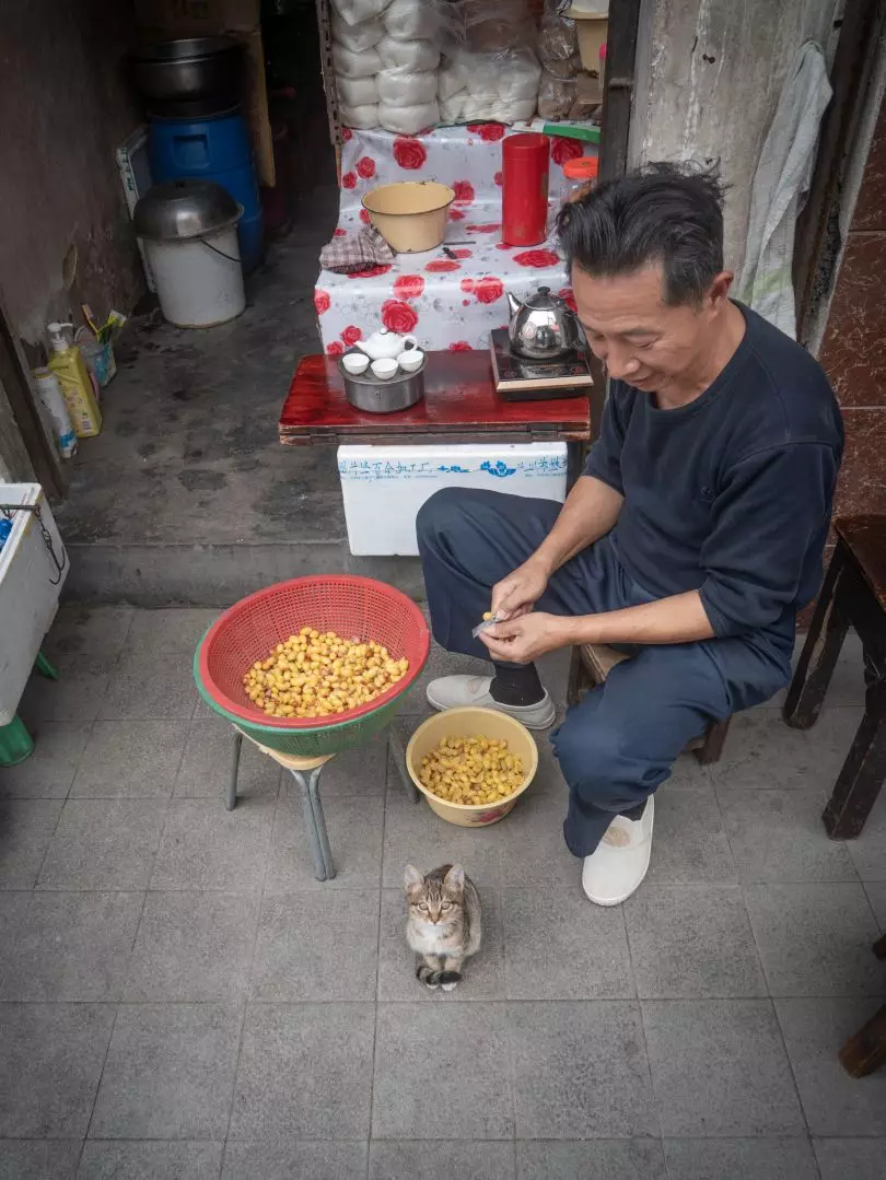 De la serie Shop Cats of China © Marcel Heijnen