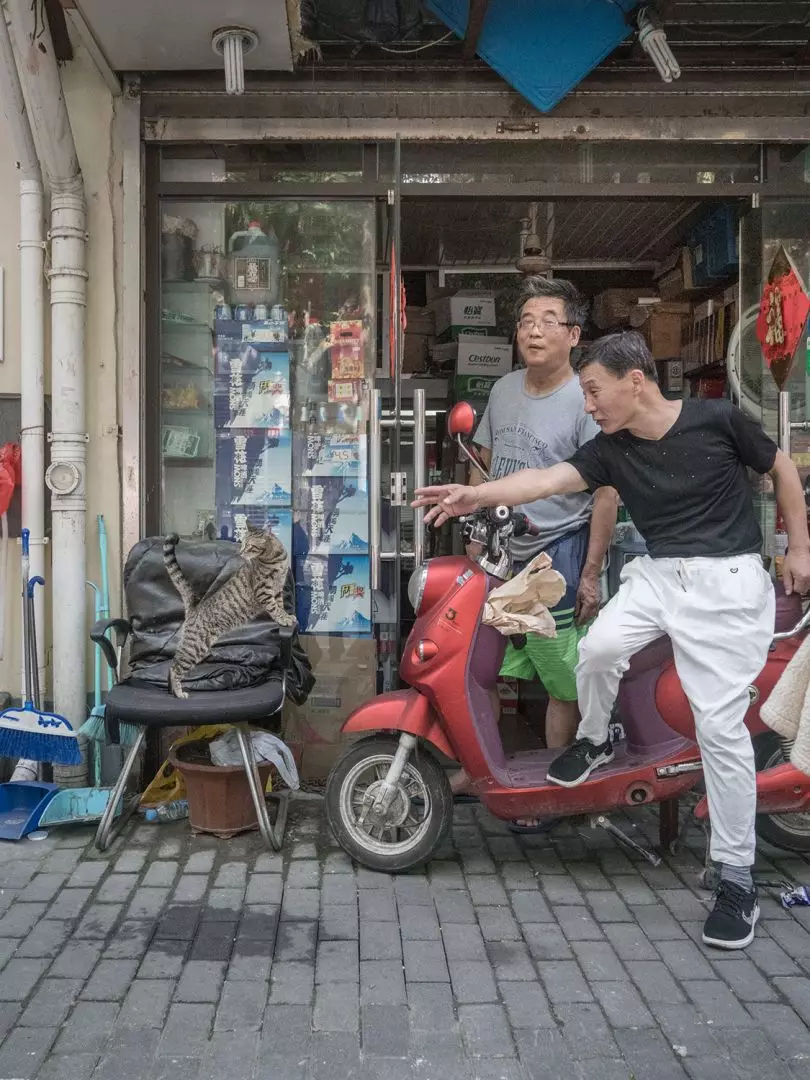 De la serie Shop Cats of China © Marcel Heijnen