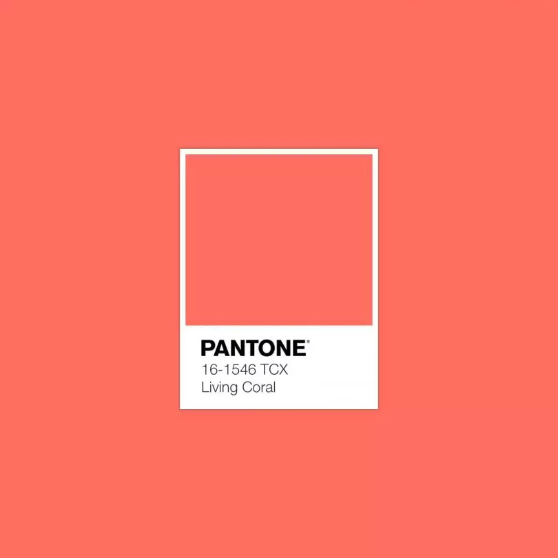 Warna Taun Pantone 2019 nyaéta Karang Hirup 4434_4